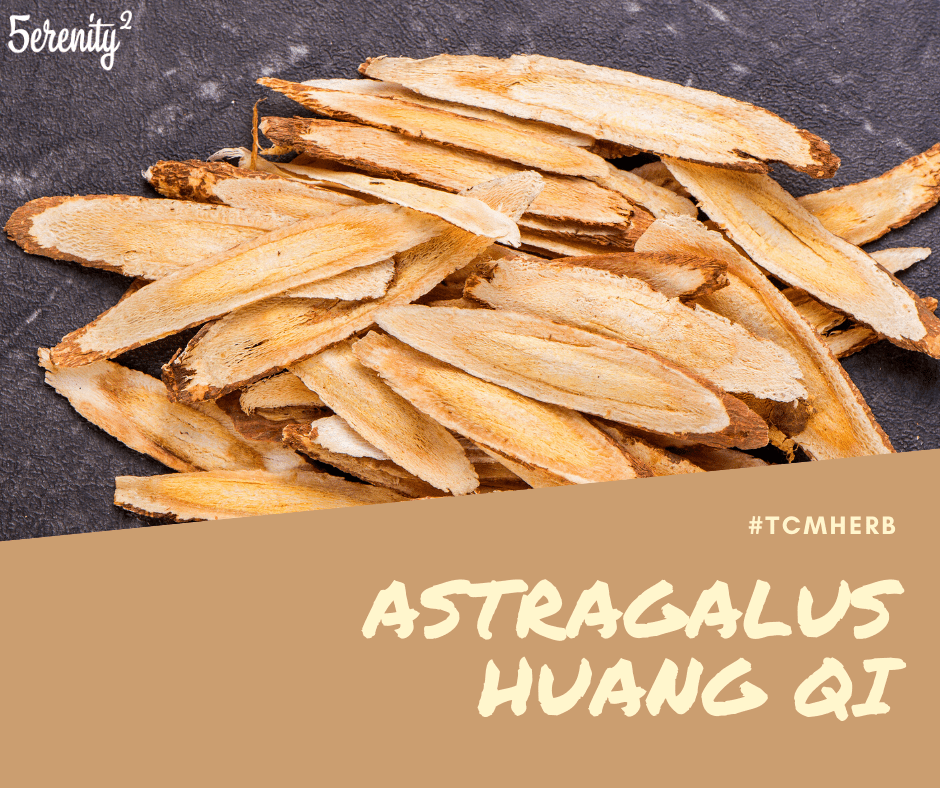 Traditional Chinese Medicine - Benefits of Huang Qi